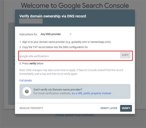 How To Verify Domain Ownership Via Dns Record Dopinger Blog
