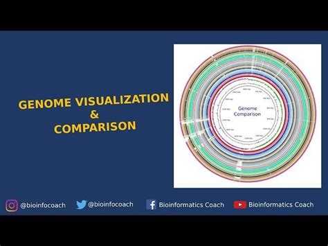 Free Video Genome Visualization From Bioinformatics Coach Class Central