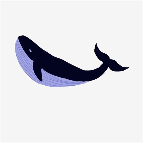 투명한 배경이 있는 파란 만화 일러스트 수영 고래 요소