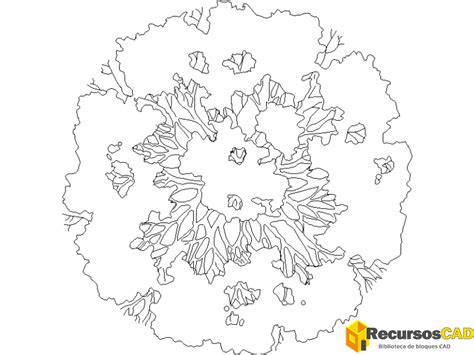 Bloques Dwg De Árboles Plantas Y Arbustos En Vistas Planta Y Alzado