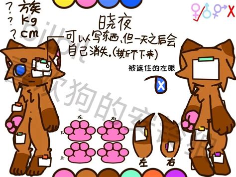 设定档案介绍晓夜 和 无希 哔哩哔哩