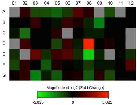 Association Of Ep2 Receptor And Slc19a3 In Regulating Breast Cancer Metastasis Pmc