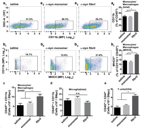 α Synuclein Fibrils Promote Microglial Activation But Not Download Scientific Diagram