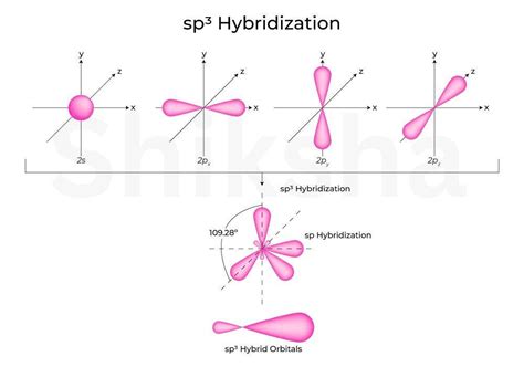 Orbital Hybridization Types Characteristics And More