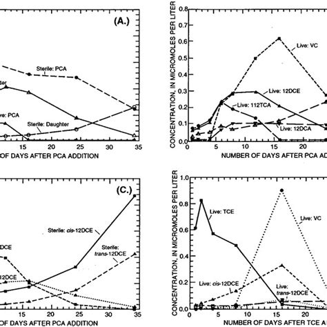 Anaerobic Degradation Pathways For Pca And Tce Modified From Chen Et