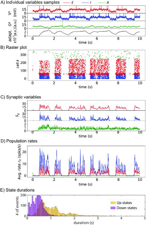 With Astrocytes The Stochastic Spiking Network Switches To A Up Down Download Scientific