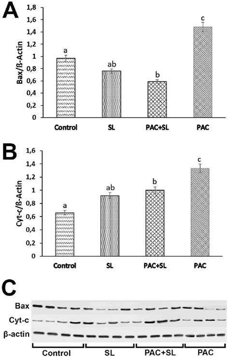 Expression Levels Of Bax And Cyt C Proteins Detected By Western Blot