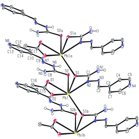 One Dimensional Structure Of Coordination Polymer Download Scientific Diagram
