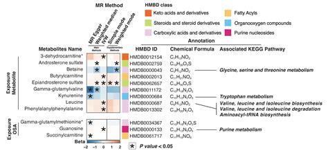 Nutrients Free Full Text Causality Investigation Between Gut Microbiota Derived Metabolites