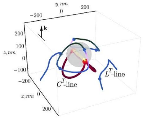 Three Dimensional Structure Of Polarization Singularities Of A Light