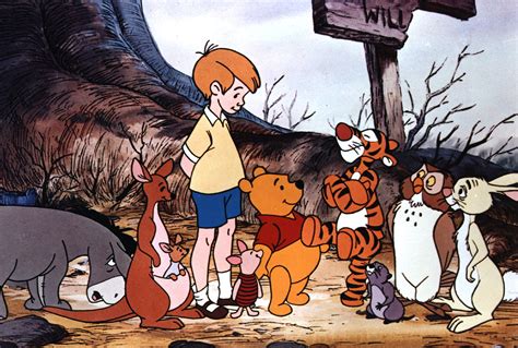The New Adventures Of Winnie The Pooh Nostalgia Cartoon