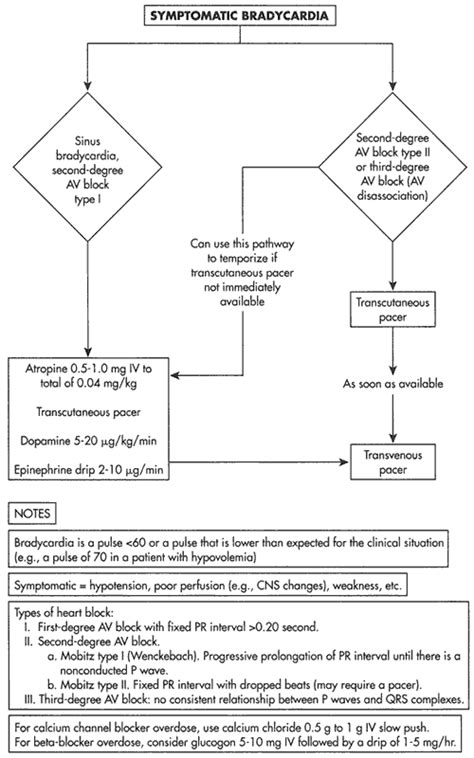 ACLS Net Bradycardia Algorithm