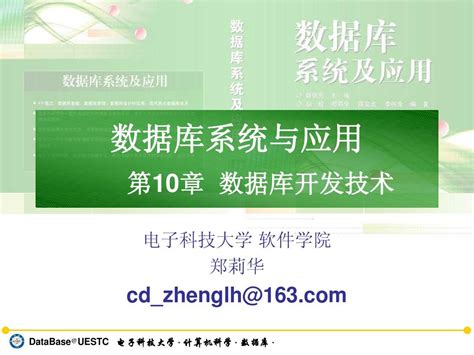 第10章 数据库开发技术word文档在线阅读与下载无忧文档