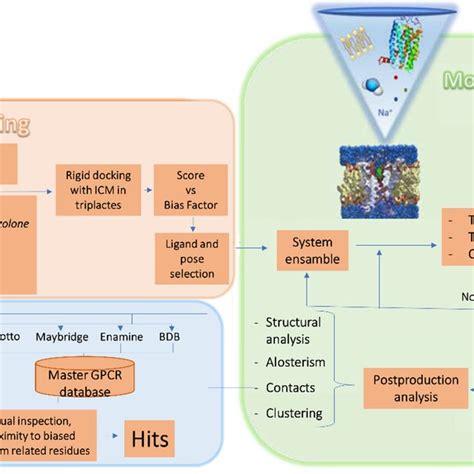 General Workflow The Process Initiates With The Molecular Docking Of