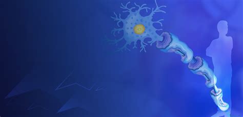 Assessing Risk For C Diff With Various Antibiotics Contagion Live