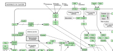 【r语言】ko富集分析 知乎