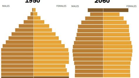 Us Population Male Female