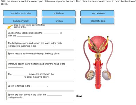 solved fill in the sentences with the correct part of the