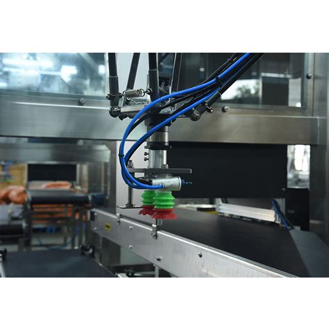 High Speed 4 Axis Delta Robot For Pickingandloading Bags Into Box