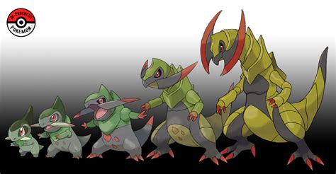 Pokemon Haxorus Evolution Chart