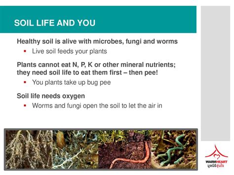Pdf Making Biochar Fertilizer Warm Heart Worldwide