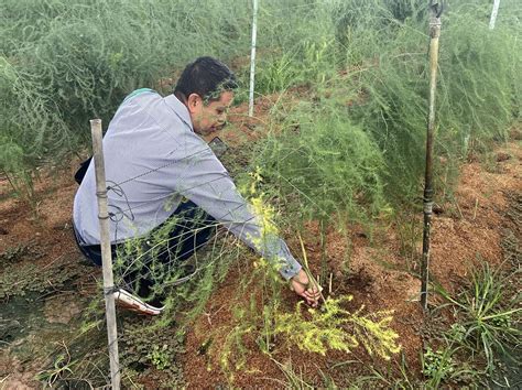 ศูนย์วิจ ศูนย์วิจัยและพัฒนาการเกษตรนครปฐม กรมวิชาการเกษตร