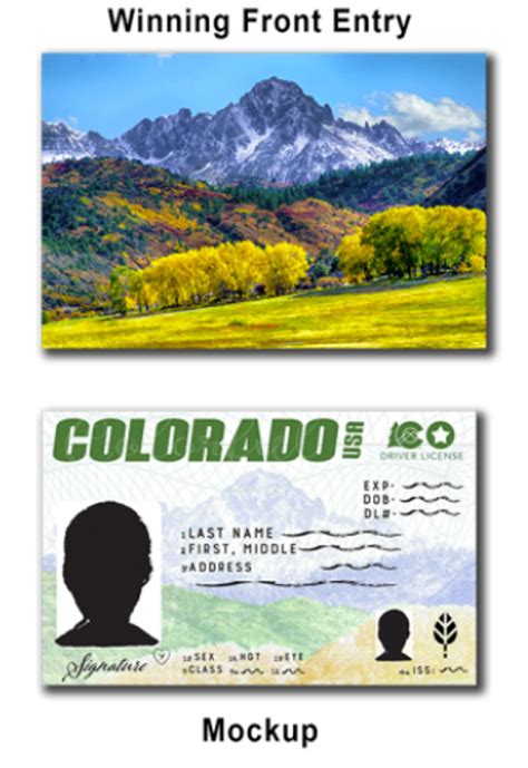 Glenwood Springs Mans Photograph To Grace Front Of Colorado Drivers