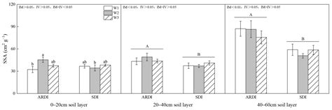 Alternating Partial Root Zone Subsurface Drip Irrigation Enhances The Productivity And Water Use