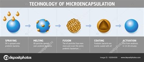 Technology Of Microencapsulation Stock Vector Image By ©miantsev 182904008