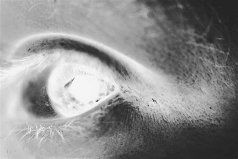 inverted eye behance