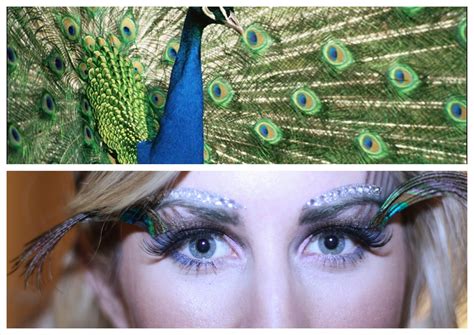 Blushing Basics Recent Projects