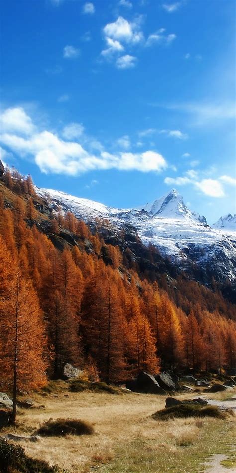 Завантажити шпалери на робочий стіл ПК Пейзаж Зима Гори Гора Ліс Земля безкоштовно 521010