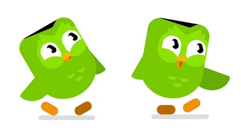 Bird Animation Design Free Download Freewebsitecreate