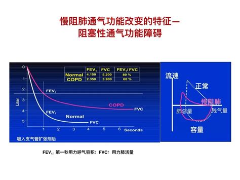 社区慢阻肺管理之二：诊断与评估