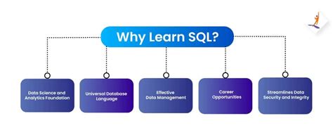 Learn Sql With Real Examples A Beginners Guide To Databases Queries And Joins By