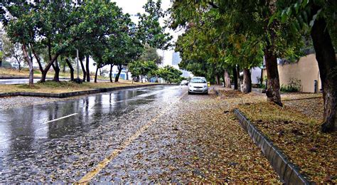 Islamabad Weather Forecast Rain And Thunderstorm Expected Today