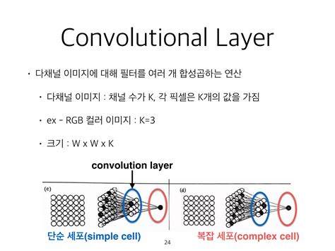 Convolutional Neural Network Tutorial Ppt