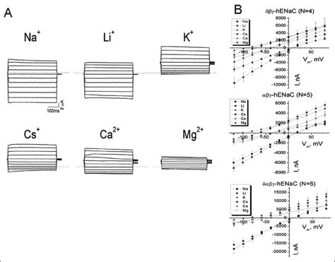 Cation Selectivity Of Henac Expressed In Oocytes A Representative