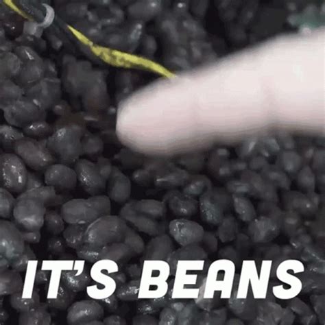 Beans S