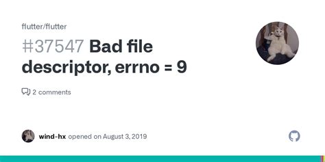 Bad File Descriptor Errno 9 · Issue 37547 · Flutterflutter · Github