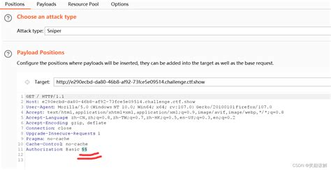 Web入门——ctfshow（21 28）爆破ctfshowweb入门28 Csdn博客