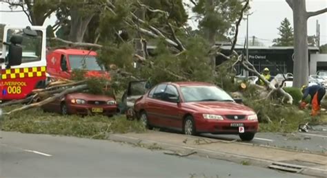 Four Injured After Tree Crushes Car On Hume Highway Sydney News Com Au Australias Leading