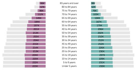 How To Visualize Age Sex Patterns With Population Pyramids In Tableau Depict Data Studio