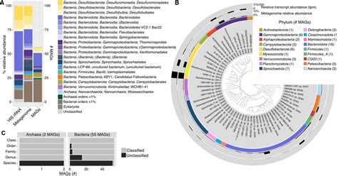 A Relative Abundance Of Orders In 16s Rrna Gene Amplicon Sequencing And Download Scientific