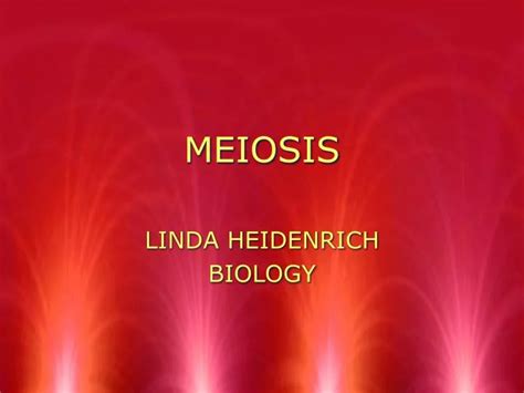 Ppt Meiosis Powerpoint Presentation Free Download Id 5784404