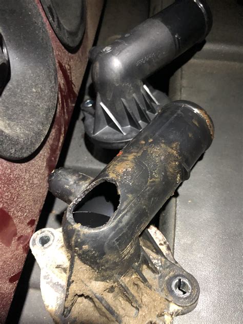 Randomly Happened On The Highway Rwrangler