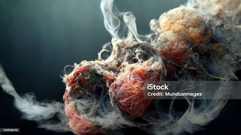 연기와 불이있는 폐가 그들 주위에 3d 렌더링 전자담배에 대한 스톡 벡터 아트 및 기타 이미지 전자담배 폐 개념 Istock