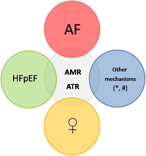 Atrial Mitral And Tricuspid Regurgitation Sex Matters A Call For Action To Unravel The