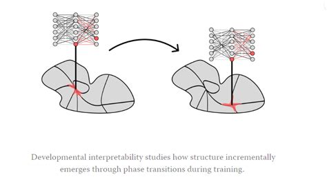 Decoding Neural Networks With Ai Interpretability