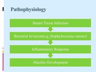 Breast Abscesspptx